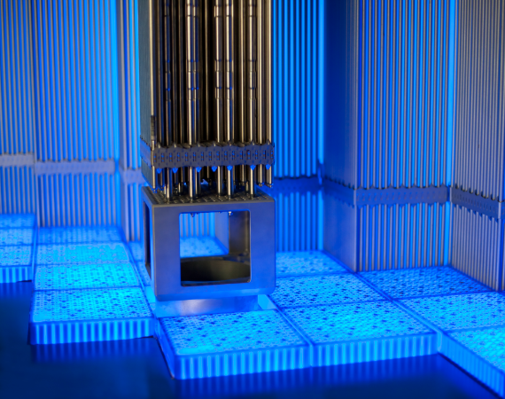 Plant-Specific RCCA Calculations Improve Accuracy and Reduce Uncertainties